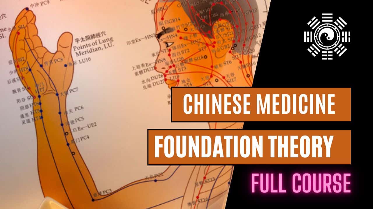Chinese Medical Theory | Study Nei Gong